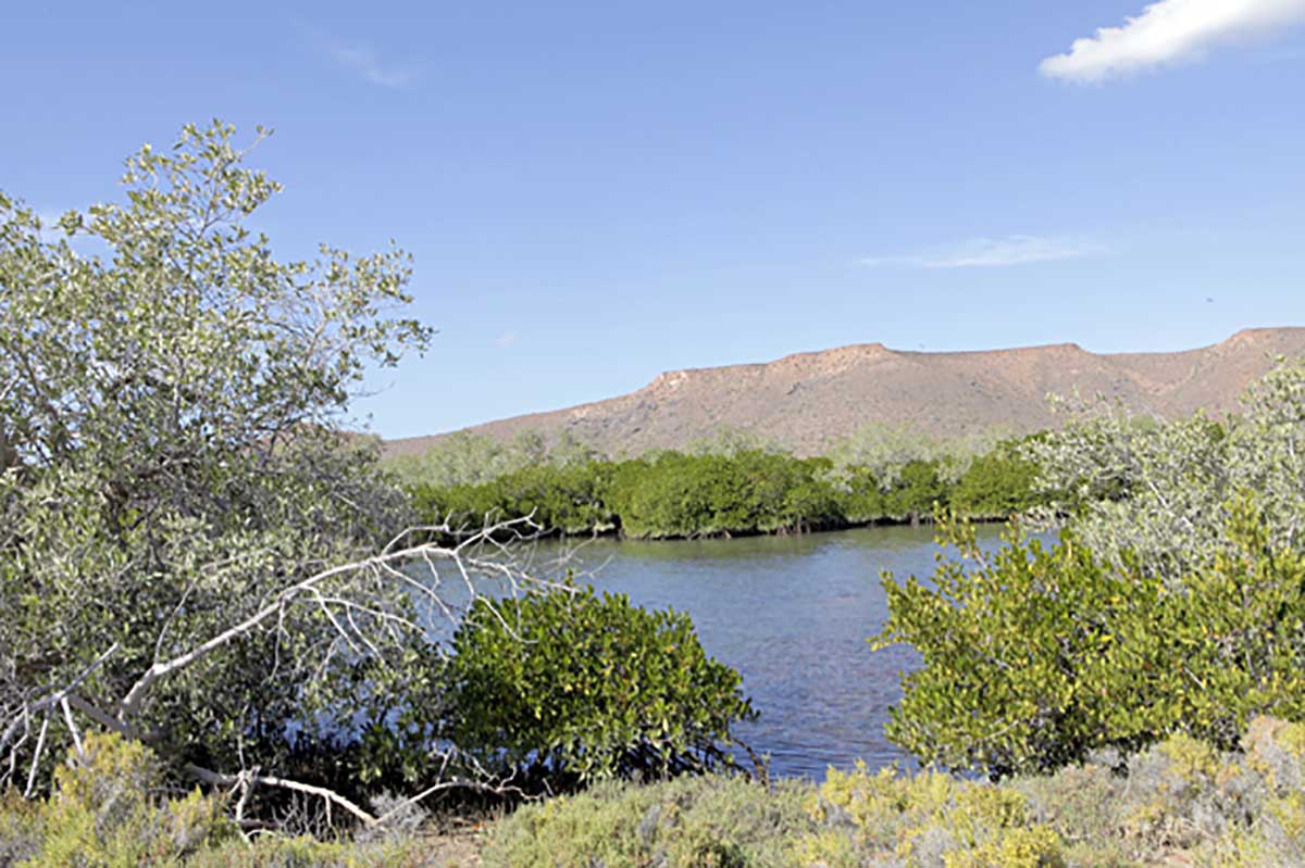 Sailing the Sea of Cortez - TravelWorld International Magazine