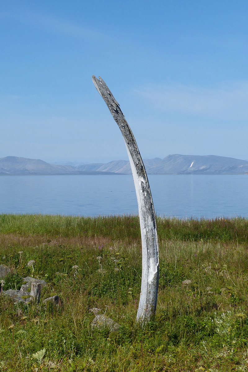 Whale rib relic in Whalebone Alley - TravelWorld International Magazine