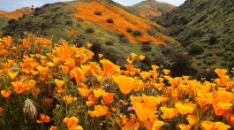 10 Reasons to Visit the Florida Keys - TravelWorld International Magazine