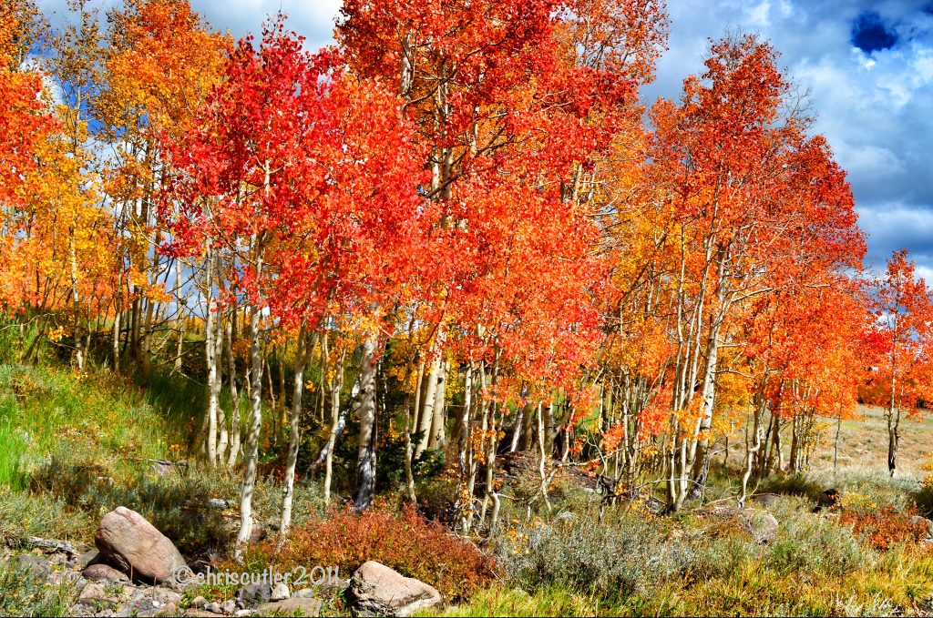 Color Peeping in Southern Utah - TravelWorld International Magazine