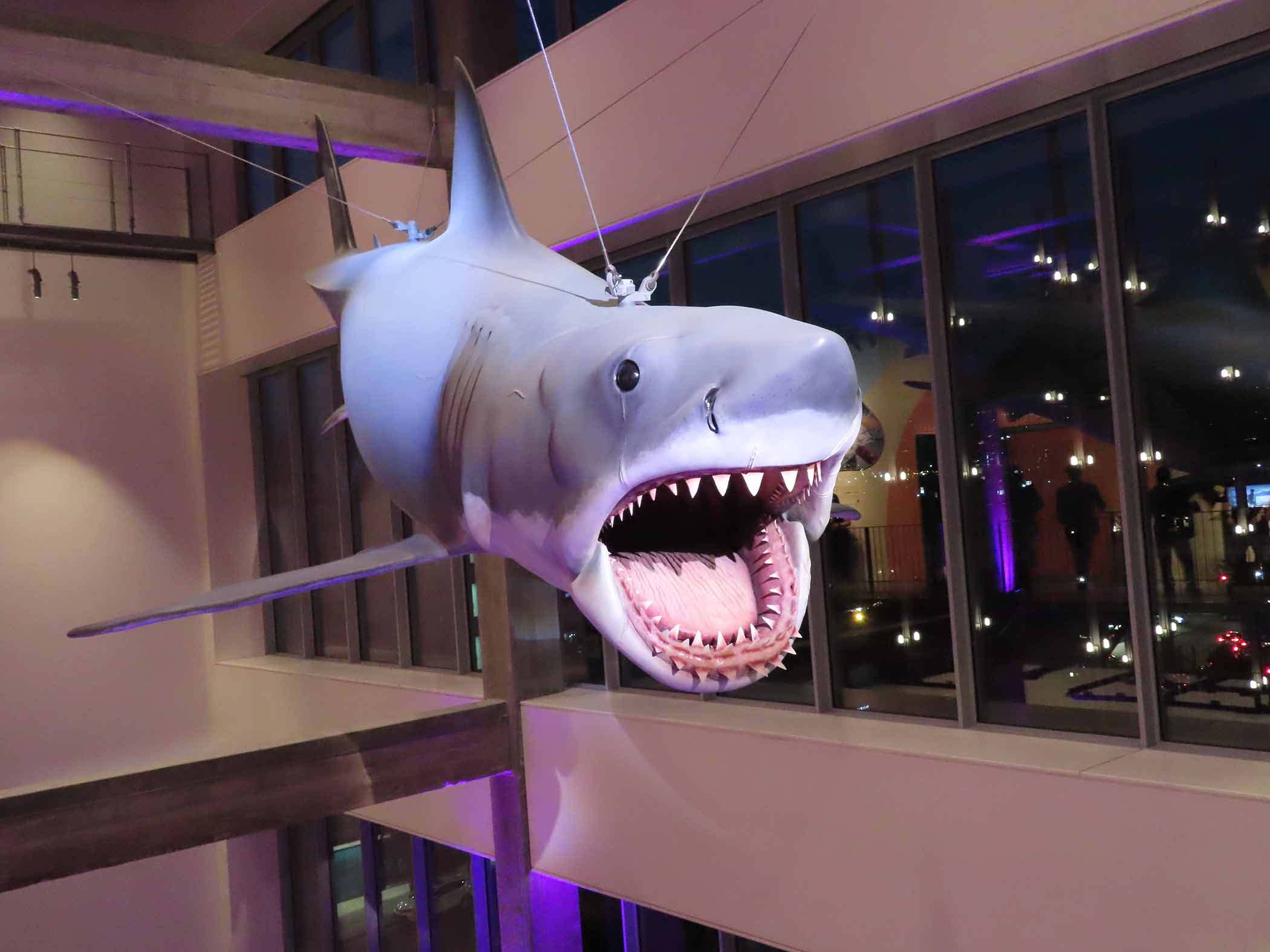 Model-of-shark-from-Jaws-suspended-over-the-escalator - TravelWorld ...
