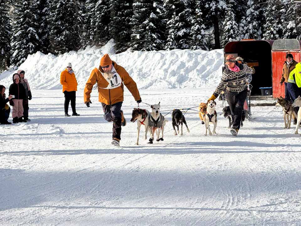 How to Enjoy British Columbia’s Gold Rush Trail Sled Dog Mail Run ...